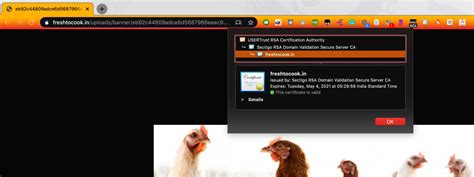 Android Glide Not Loading Some Image Url Stack Overflow