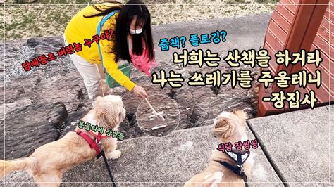 너희는 산책을 하거라 나는 쓰레기를 주울테니 Youtube