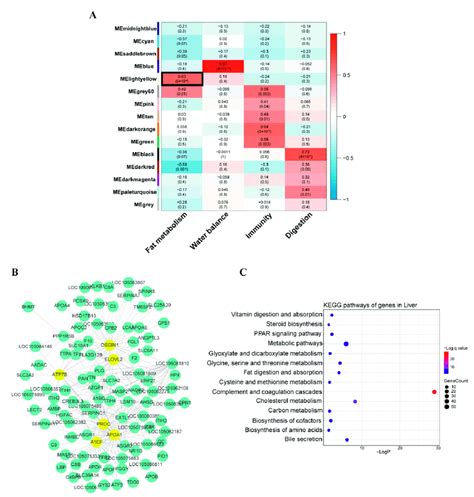 Weighted Gene Co Expression Network Analysis Wgcna Of Genes Download Scientific Diagram