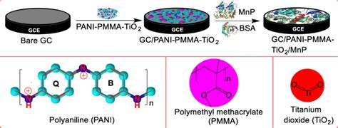 Proposed Schematic For The Mnp Biosensor Fabrication Using The