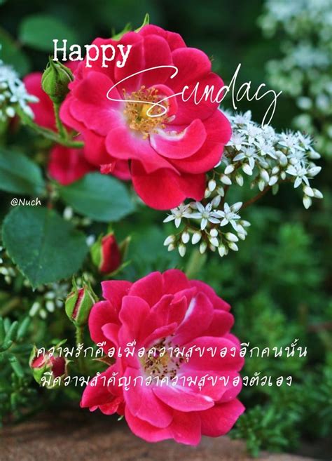 Pin Van Anoosara P Op สวัสดีวันอาทิตย์