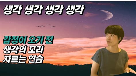 생각 다루는 명상법 생각 알아차림 명상ㅣ인지치료적 명상ㅣ마인드풀니스 Mbct Youtube