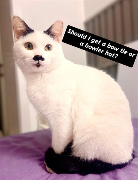 First Time Posing 😻 Rkitler