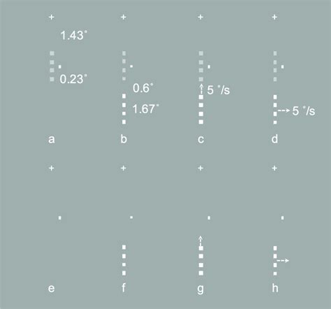 Stimuli In Experiment 1 Target Present A And Target Absent E