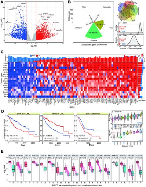 Screening And Identification Of Genes Associated With Cell