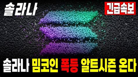 솔라나 코인 전망 솔라나 밈코인 폭등 알트시즌 온다 2025년 벼락부자 만들어줄 코인 솔라나 솔라나밈코인 비트코인