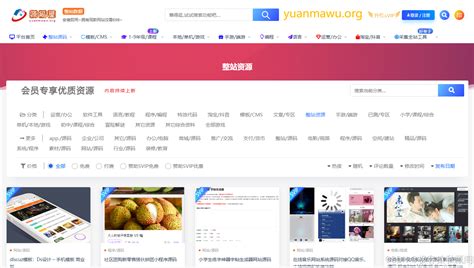为什么有的程序员35岁后兼职月入过万，有的却只能送外卖？ gitee可以开发软件挣钱吗 csdn博客