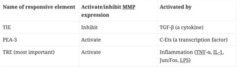 aa block topic 13 flashcards quizlet