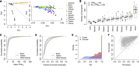 Rat Bodymap Transcriptomes Reveal Unique Circular Rna Features Across