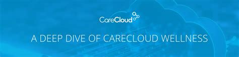 Carecloud Inc Nasdaq Ccld Profile On B2i Digital