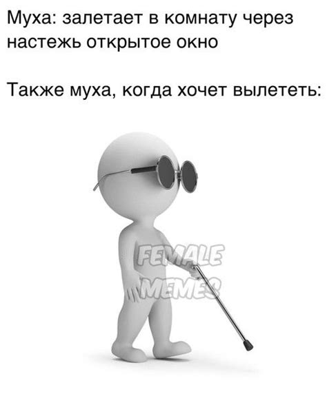 Female Memes Женский юмор