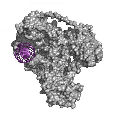 Accurate Targeted Long Read Dna Methylation And Hydroxymethylation