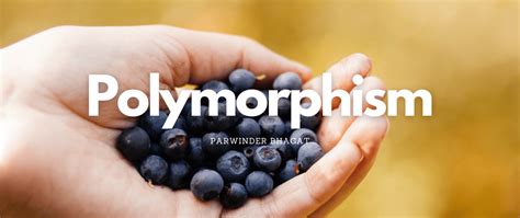 The New Keyword In Javascript Dev Community