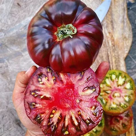 Best 12 Rotten Tomato Netflix Artofit