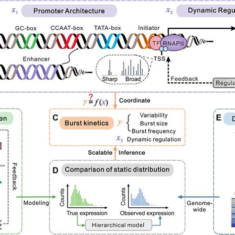 Overview Of A Scalable Genome Wide Inference Method A Schematic For Download Scientific
