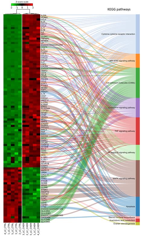 Heatmap Of Expression Data For 98 Differentially Expressed Genes And