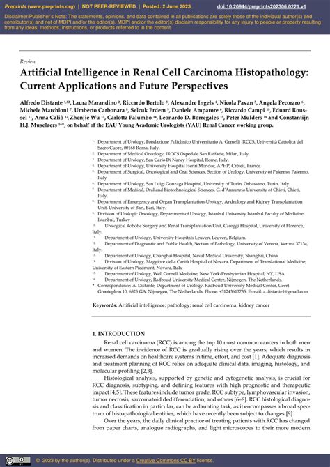 Pdf Artificial Intelligence In Renal Cell Carcinoma Histopathology Current Applications And