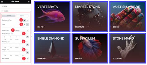 How To Use Maven Widget By Pixel Gallery