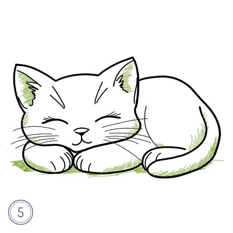 How To Draw A Sleeping Black Cat Step By Step Guide To Drawing How