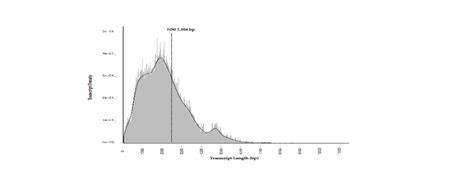 Transcript Length Distribution After Redundant Sequence Removal