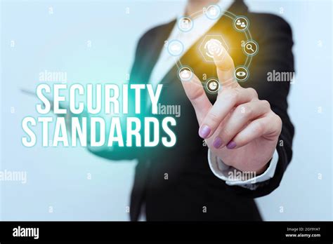 Text Caption Presenting Security Standards Business Overview The Scope Of Security Functions
