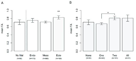 A Mean Fluctuating Asymmetry Not Standardized Increased In Fetuses