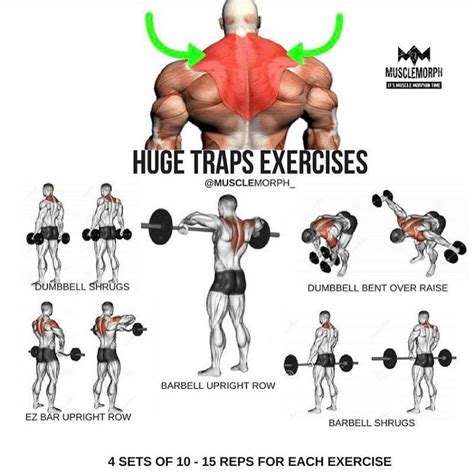 Top 5 Exercises For Traps At William Deas Blog
