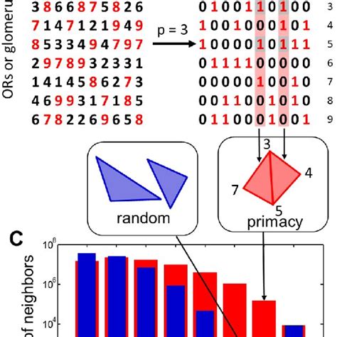 Analysis Of Surrogate Data A An Example Response Matrix R Or Contains Download Scientific