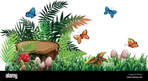 Isolated Tree Stump On White Background Illustration Stock Vector Image Art Alamy