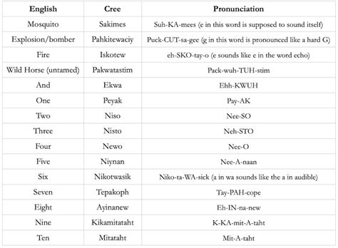 Cree Code Talkers Canadas History