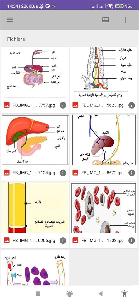 Sofiane Maths Algiers