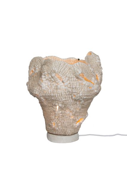 Simran Johnston 1 Artwork Bio And Shows On Artsy