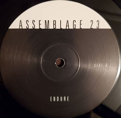 Endure Assemblage 23 Gothic And Industrial Music Archive