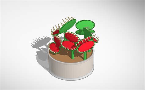 3d Design Venus Fly Trap Tinkercad