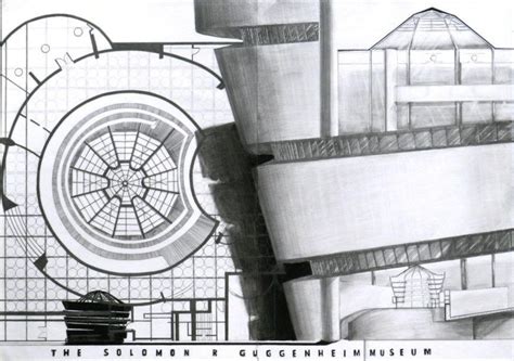 Guggenheim Analytique Shadow Photos Museums In Nyc Architecture