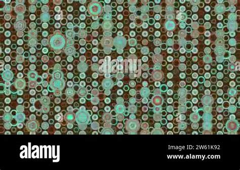 trendy 1970s retro pattern background animation with colourful circles