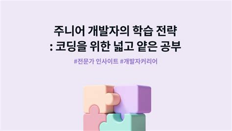 주니어 개발자의 학습 전략 코딩을 위한 넓고 얕은 공부 코넓얕 프로그래머스