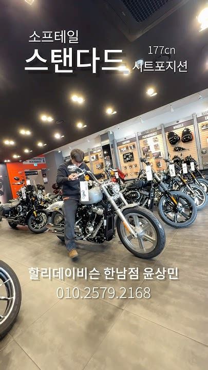 제일 가벼운 할리 시트포지션 괜찮네요 할리데이비슨 입문용 리뷰 Shrots Youtube