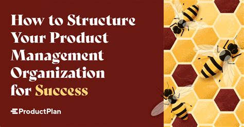 Ebook How To Structure Your Product Management Organization