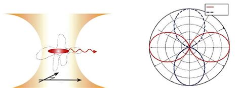 Schematic Of An Optically Trapped Quantum Rod That Aligns Along The Download Scientific Diagram