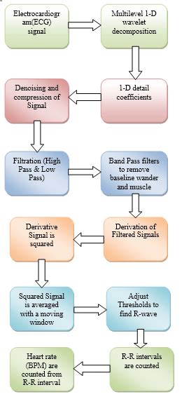 Block Diagram To Detect R Wave Using Wavelet Transform Download Scientific Diagram