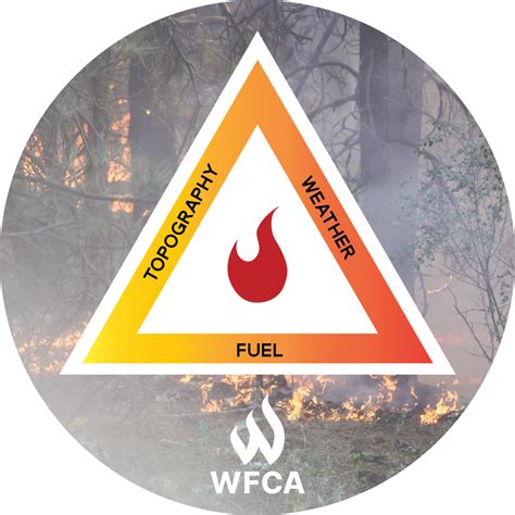 How Do Wildfires Stop Naturally? | WFCA