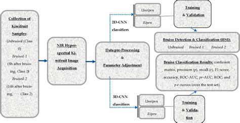 Figure 1 From From Harvest To Market Non Destructive Bruise Detection In Kiwifruit Using
