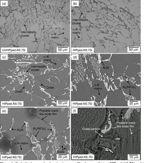Figure 1 From Application Of X Ray Microtomography To Evaluate Complex