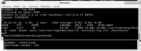 Assignment 2 Shellreversetcp My Repo