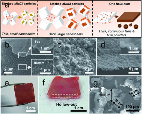 Synthesis Of Cons On Salt Substrates With Different Sizes A Download Scientific Diagram