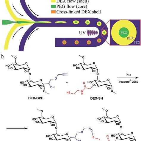Pdf Microcapsules With A Permeable Hydrogel Shell And An Aqueous Core Continuously Produced In