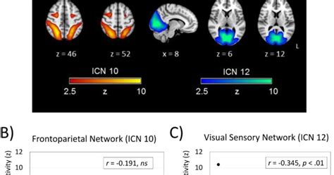 Frontoparietal Activation During Visual Conjunction Search Effects Of