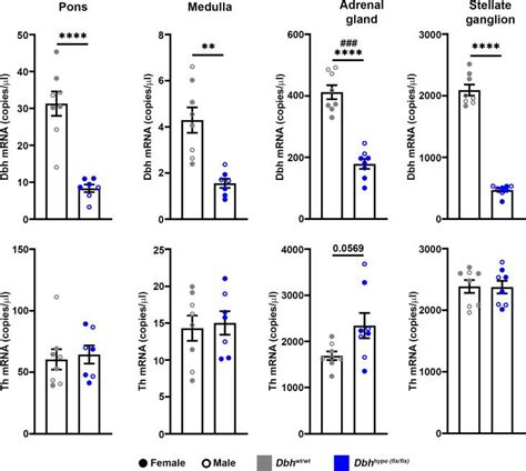 Sambit Panda On Linkedin Partial Or Complete Loss Of Norepinephrine Differentially Alters…