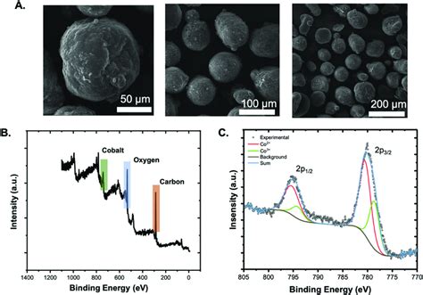 Characterization Of Con Armored Polystyrene Particles A Sem Images Download Scientific